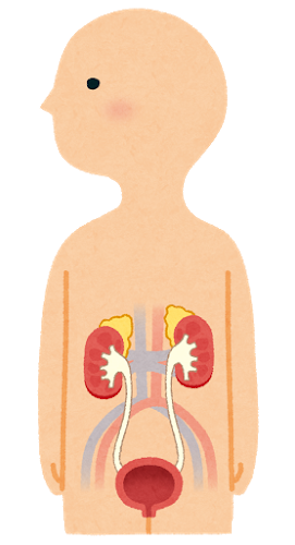 How does HClO affect to human health? Think based on our past ...